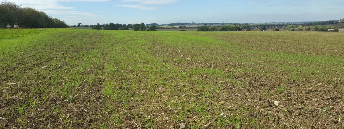 3 Reseeding Methods for Grassland Farmers